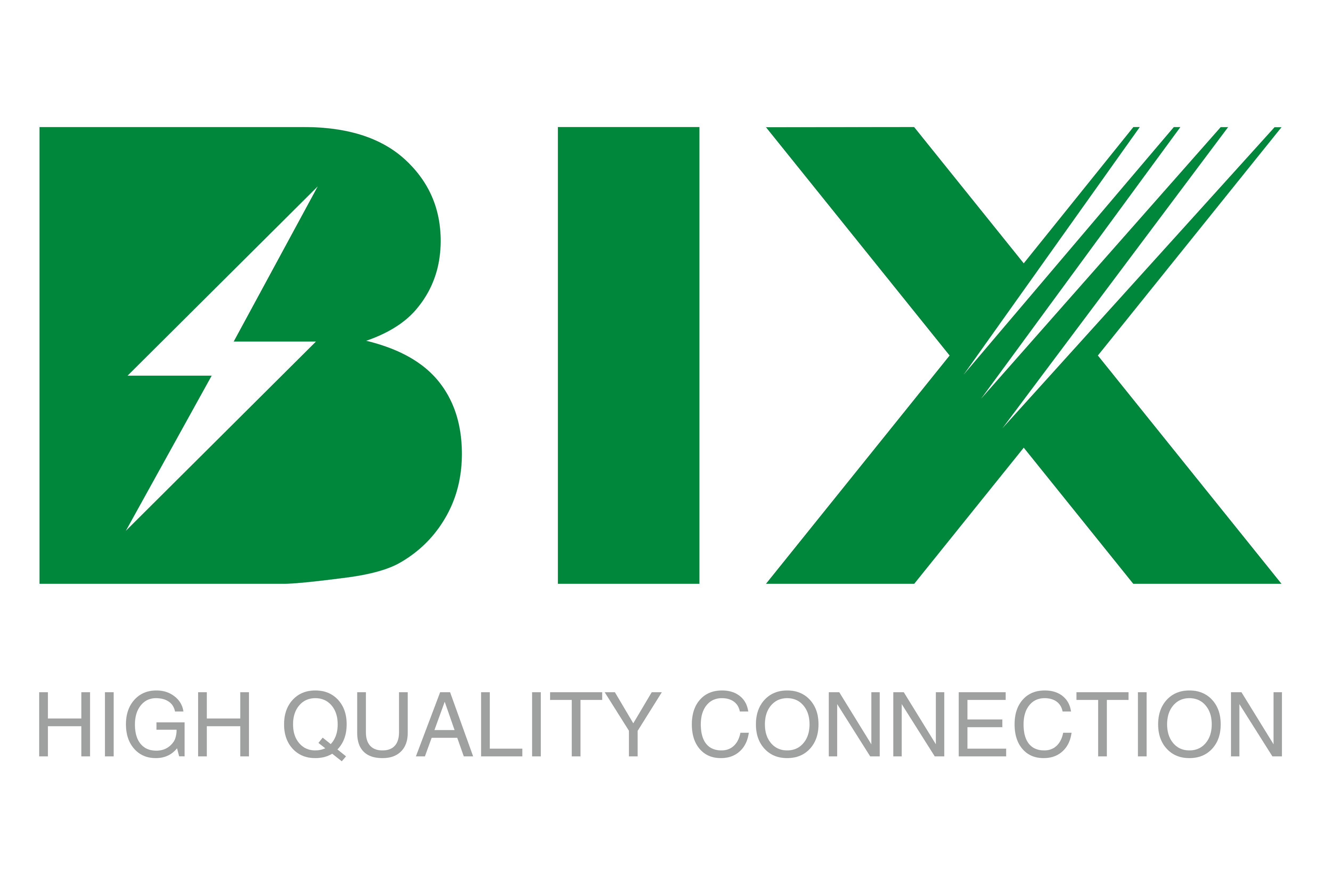 Shanghai BIX Electronics Company Ltd.